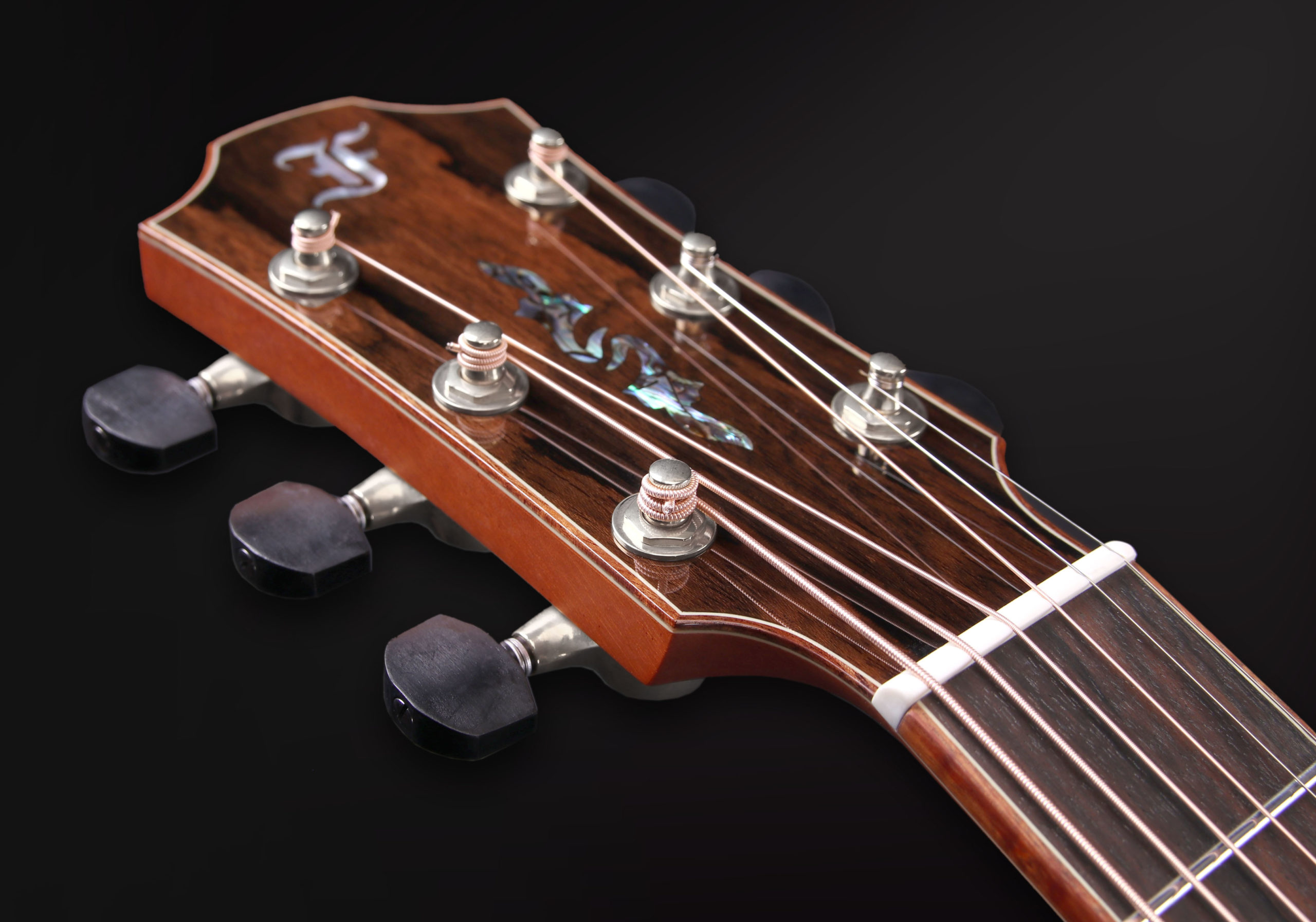 Furch Master's Choice – Let the Masters Inspire You - News - Furch Guitars