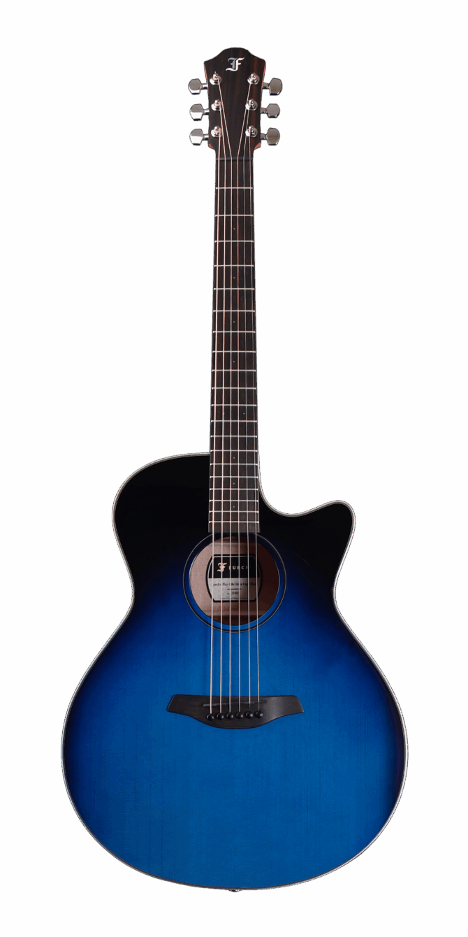 Furch Spectra Plus ER a - Furch Guitars